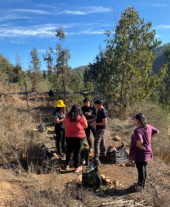 Ingeniero Civil Ambiental UPLA creó mapa digital colaborativo con ...